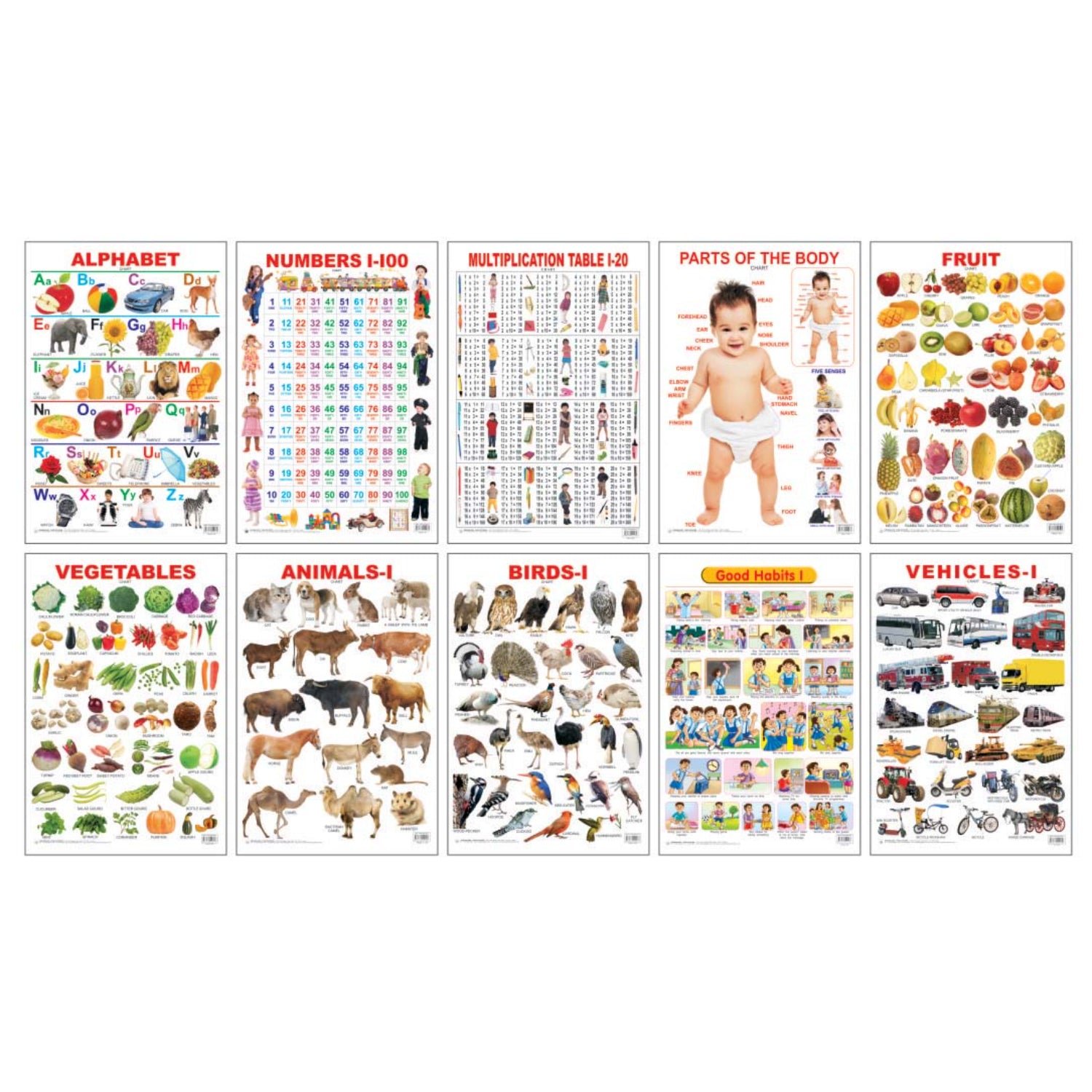 Pre-School Chart (Pack of1) : Wall Educational Chart for children (2 to ...