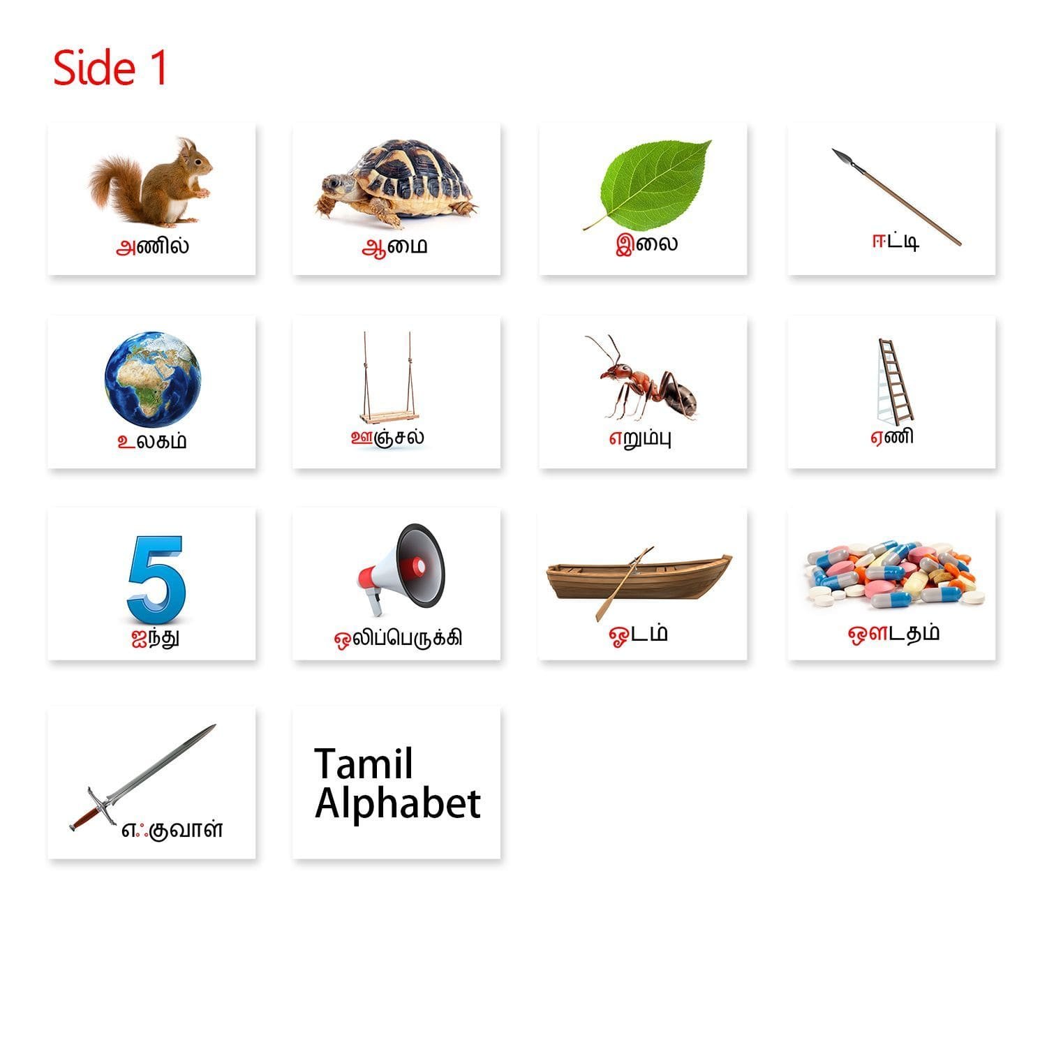 Tamil Alphabets Baby Flash Cards - Hands to Mind